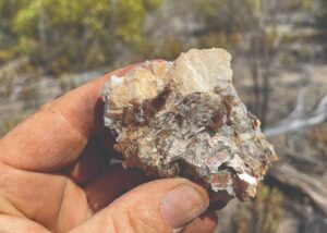 New large-scale lithium anomalies at Forrestania - Australian Resources ...